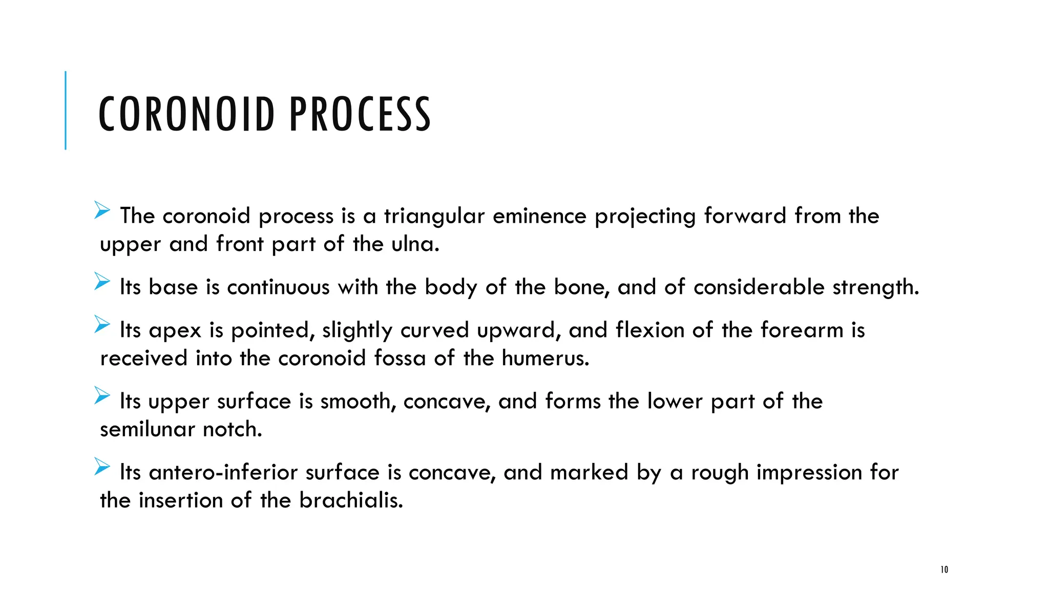 Anatomy of the Ulna: A Detailed Overview for Physiotherapy and Medical ...