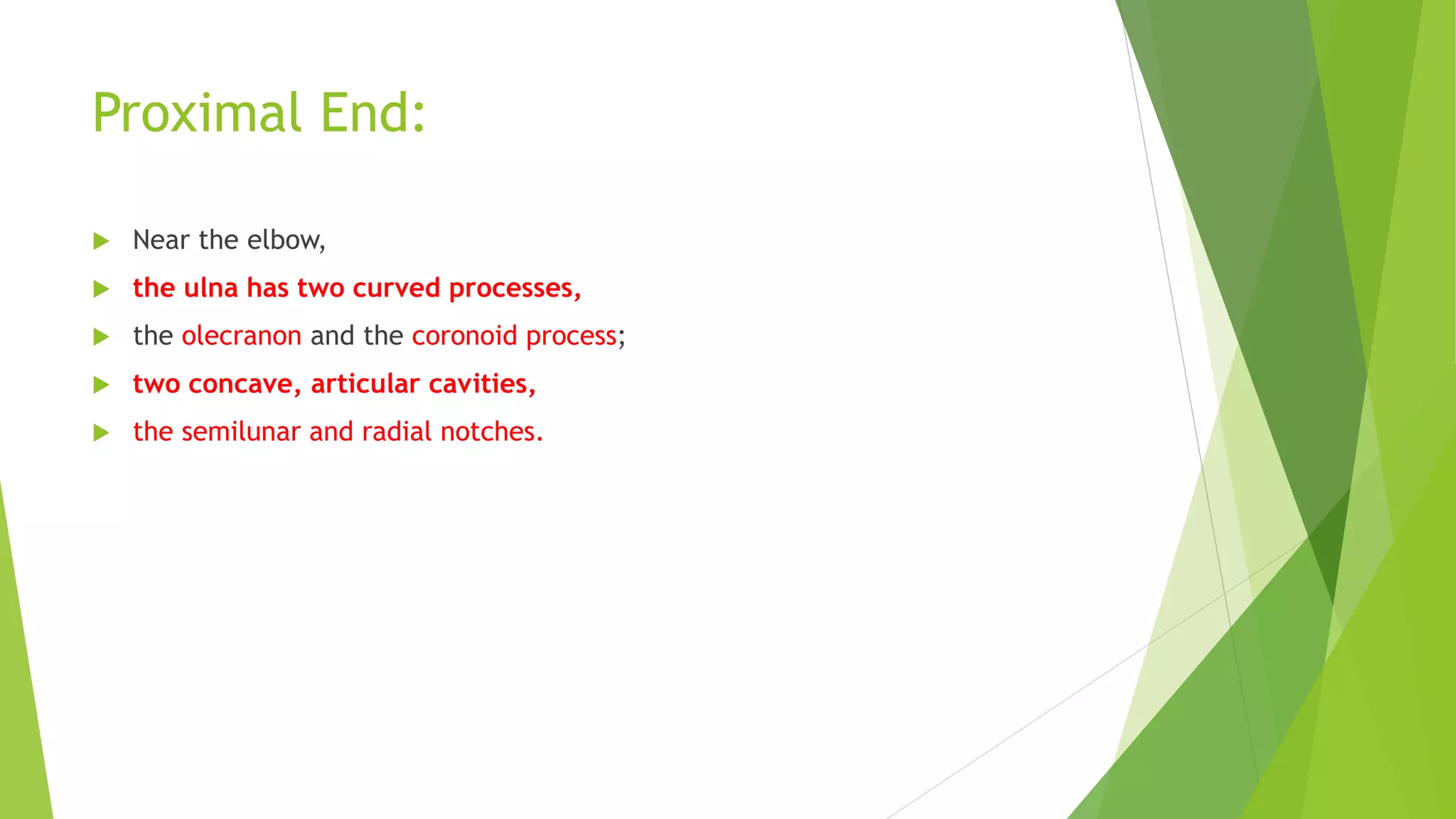 Ulna Bone Anatomy | PPTX