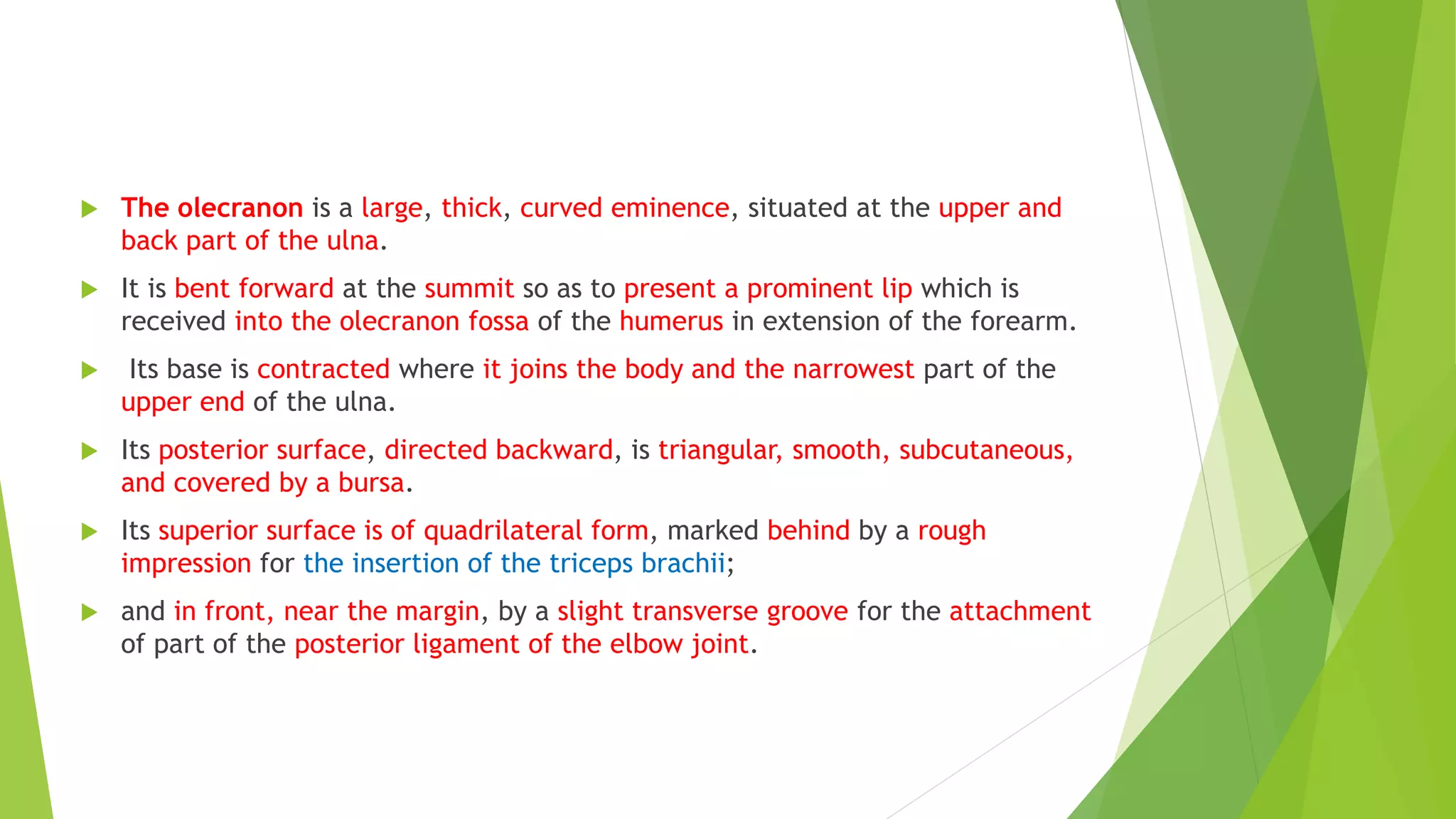 Ulna Bone Anatomy | PPTX