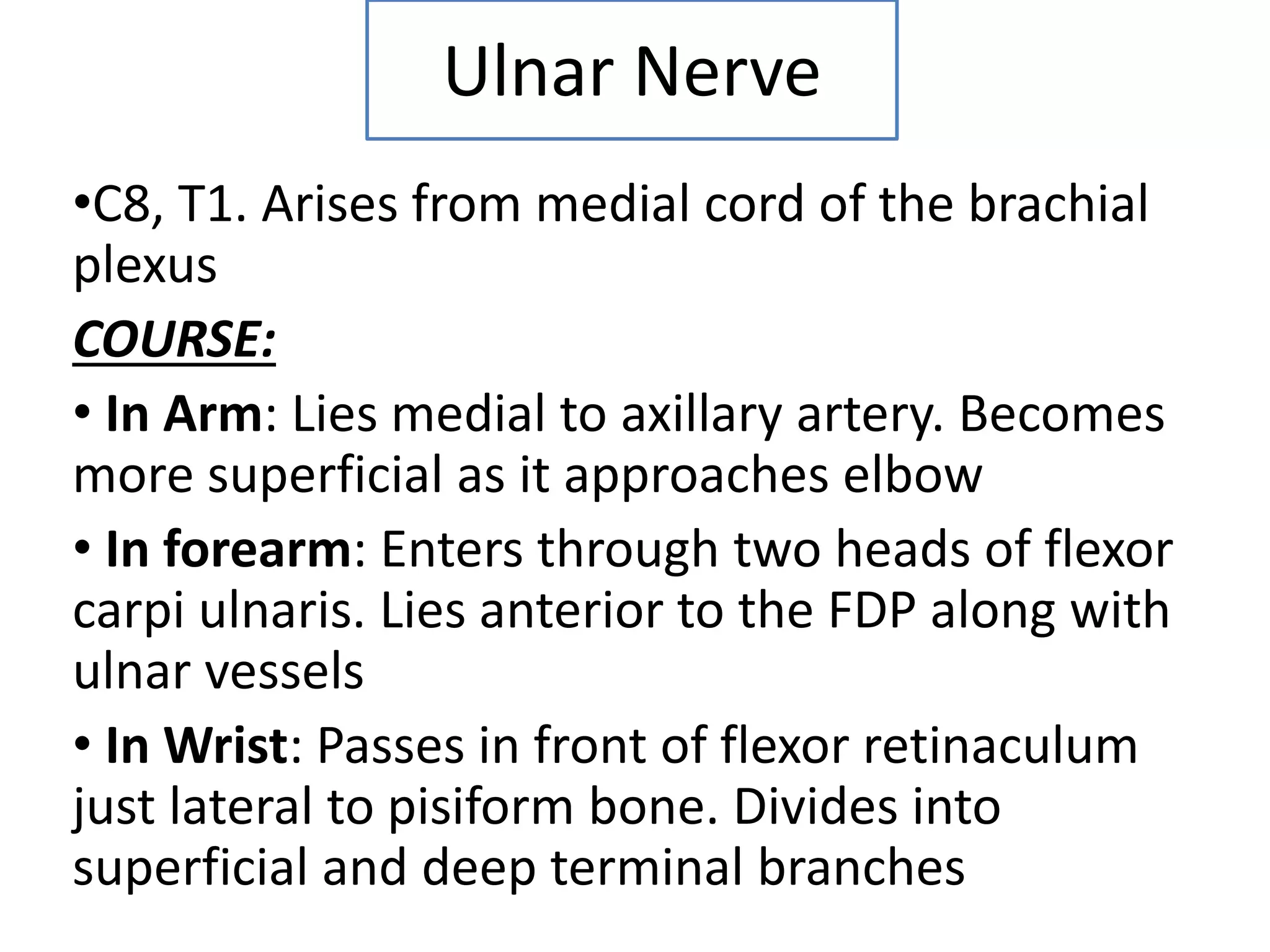 Ulnar, Accessory, Axillar, Long thoracic nerve.pptx