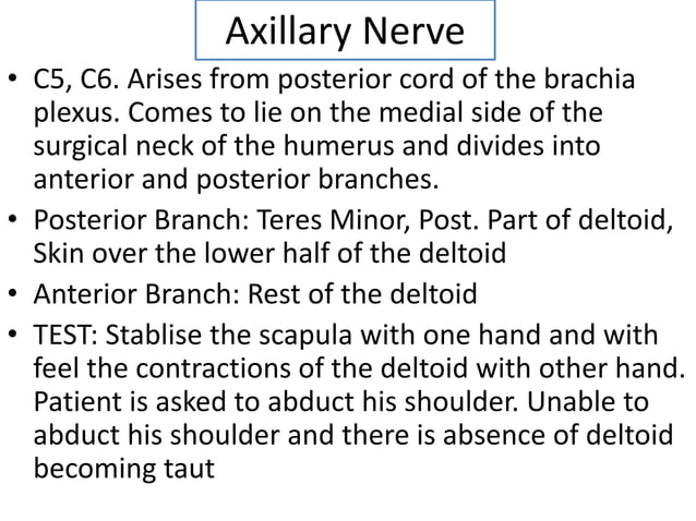 Ulnar, Accessory, Axillar, Long thoracic nerve.pptx
