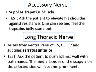 Ulnar, Accessory, Axillar, Long thoracic nerve.pptx