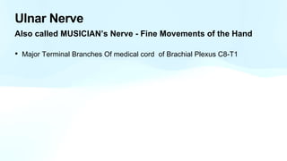 ULNAR AND MEDIAN NERVE INJURY.pptx