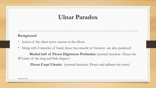 Ulnar claw and ulnar paradox by medicocyte.com