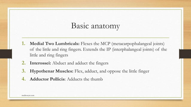 Ulnar claw and ulnar paradox by medicocyte.com