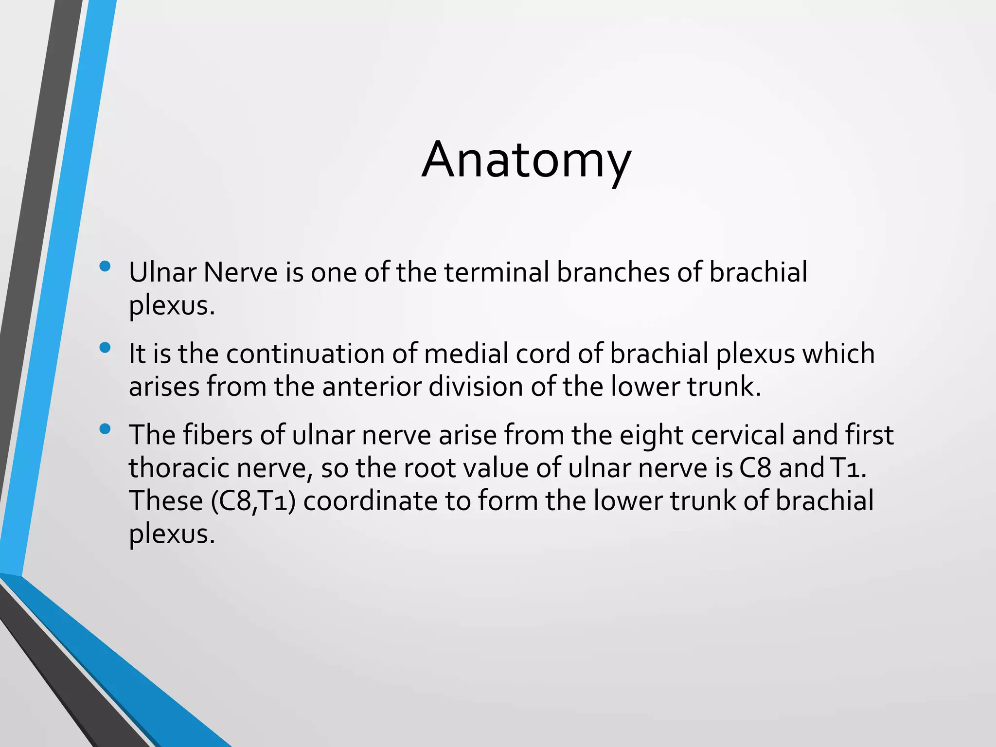 Ulnar Nerve and clinical features | PPTX
