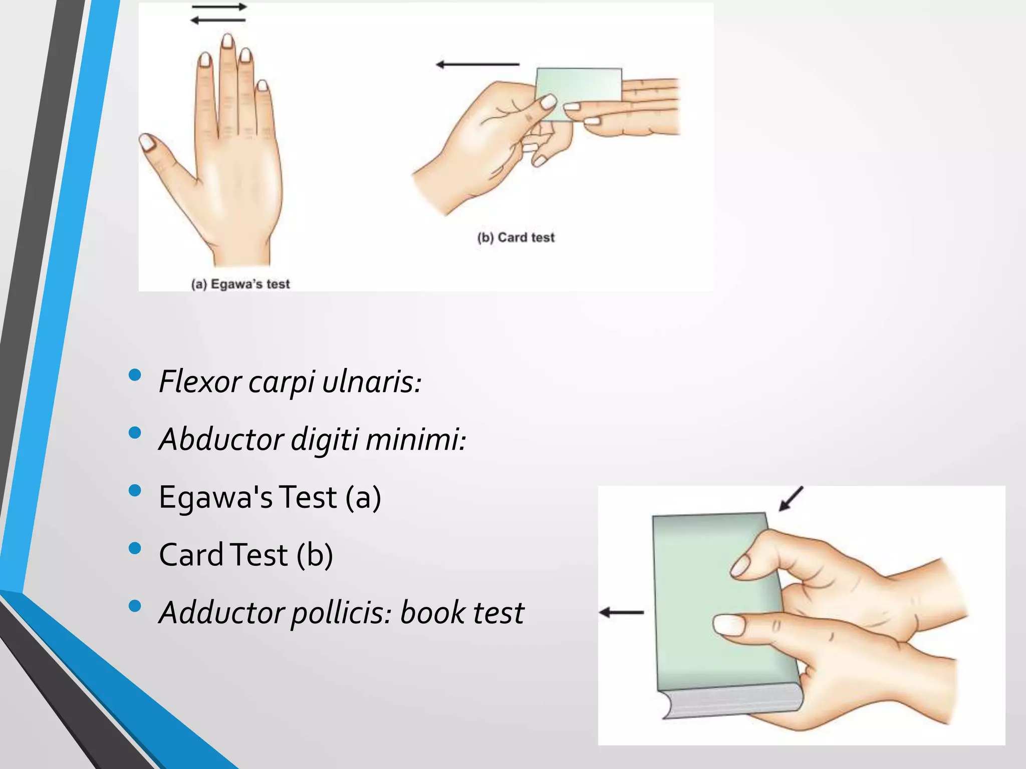 Ulnar Nerve and clinical features | PPTX