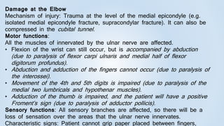 Ulnar nerve | PPTX