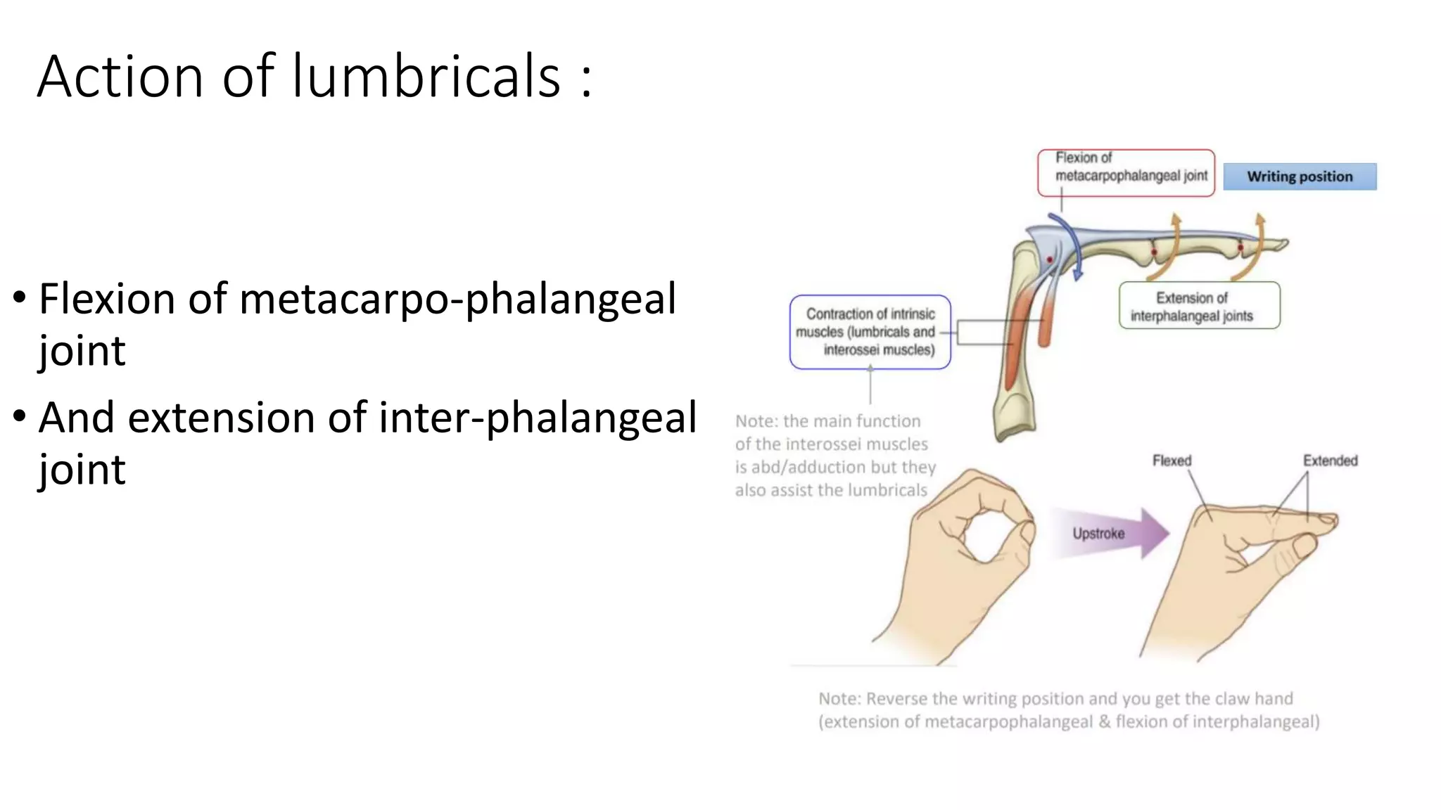 Ulnar nerve injury | PPTX