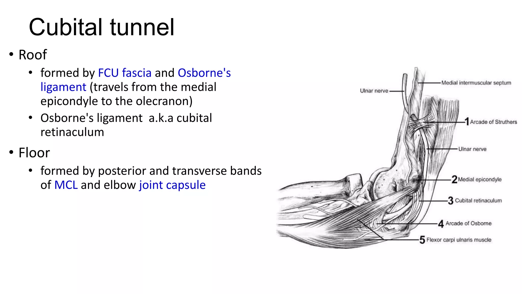 Ulnar nerve injury | PPTX