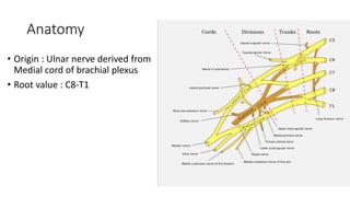 Ulnar nerve injury | PPTX