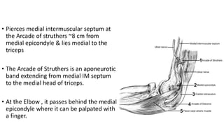 Ulnar nerve injury | PPTX