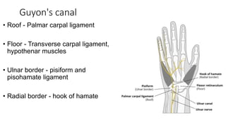 Ulnar nerve injury | PPTX