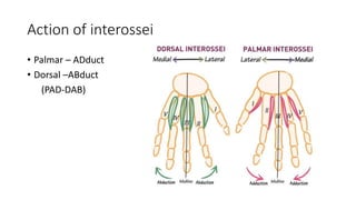 Ulnar nerve injury | PPTX