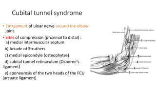 Ulnar nerve injury | PPTX