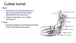 Ulnar nerve injury | PPTX