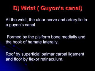 ULNAR NERVE.pptx