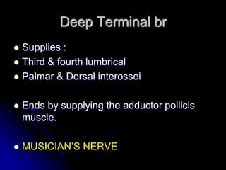 ULNAR NERVE.pptx