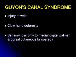 ULNAR NERVE.pptx