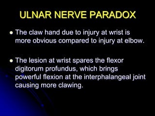 ULNAR NERVE.pptx