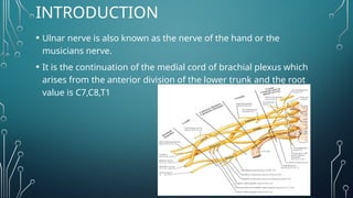 Ulnar nerve Nausheen Tamboli | PPTX