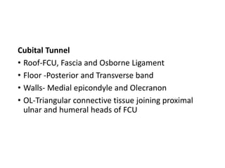 Ulnar Nerve.pptx