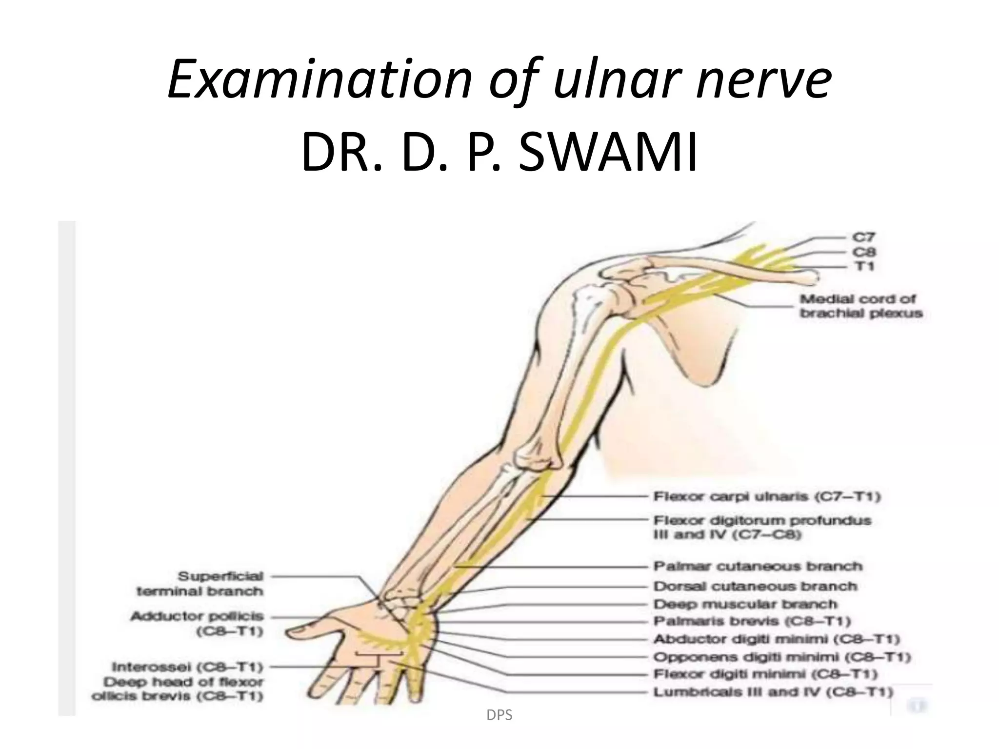 Ulnar nerve examination | PPTX
