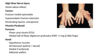 Ulnar nerve injury , various connections .pptx