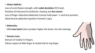 Ulnar nerve injury , various connections .pptx