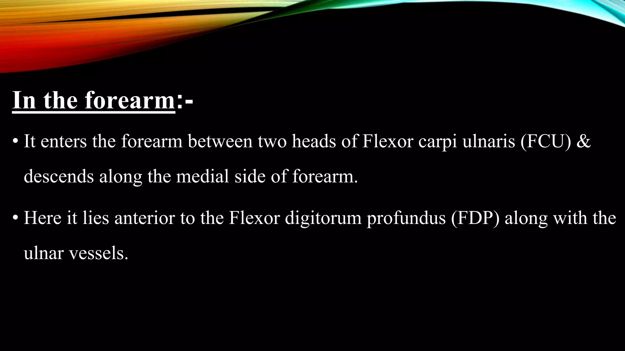 Ulnar nerve injury PPT | PPTX
