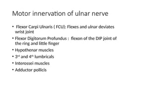 ulnar nerve injury new.pptx peripheral nerve | PPTX