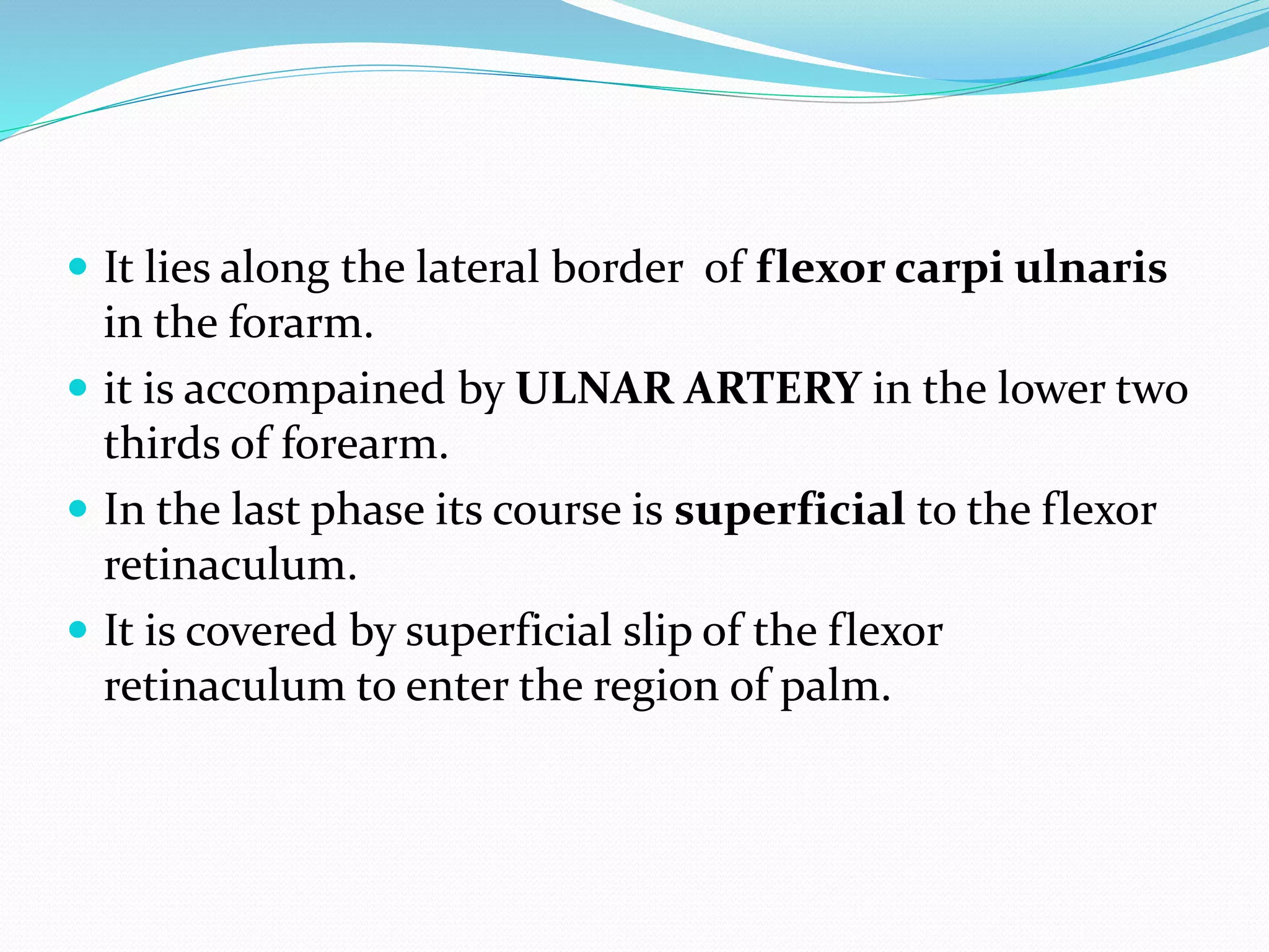 Ulnar nerve ppt | PPT