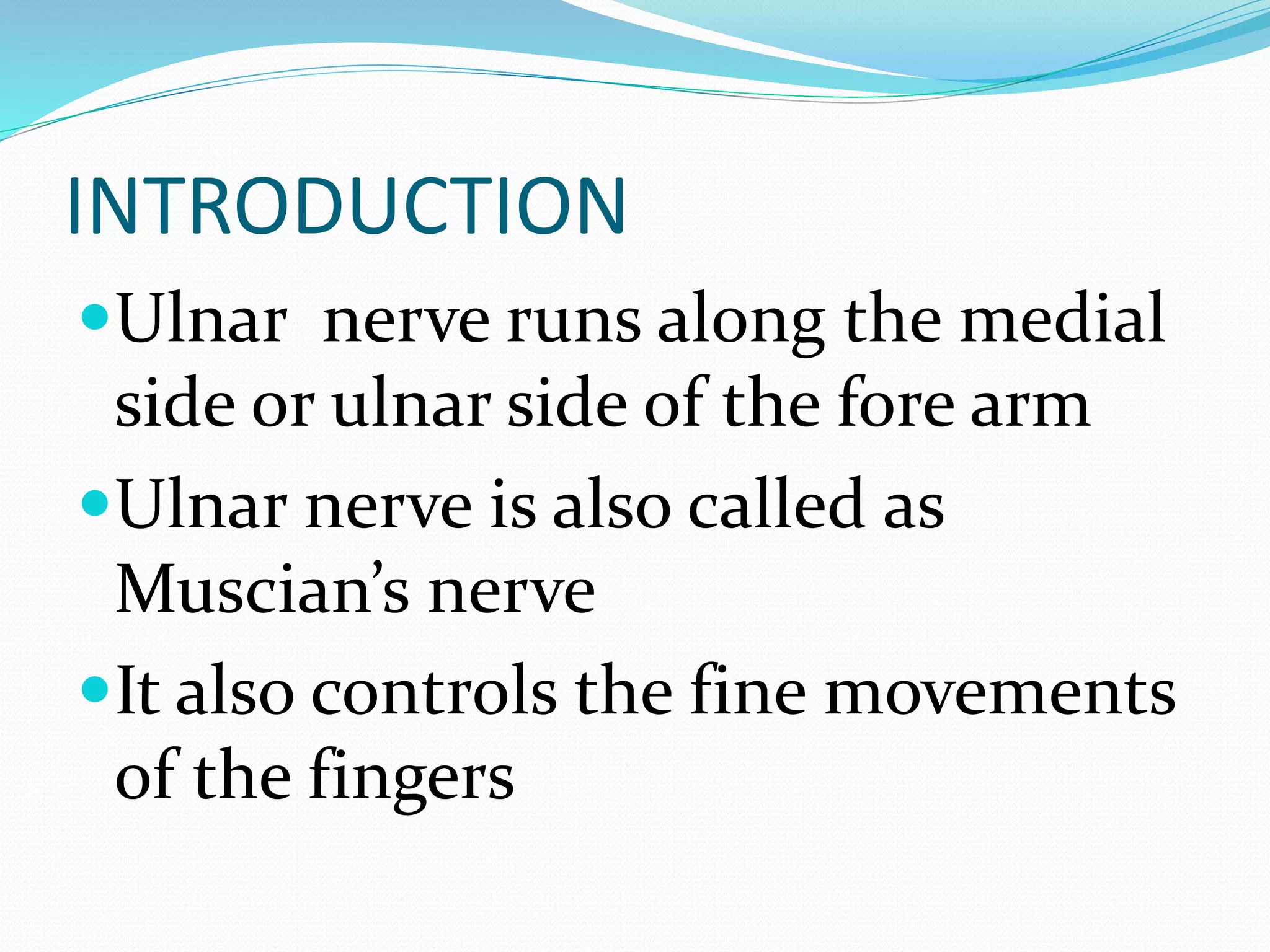 Ulnar nerve ppt | PPT