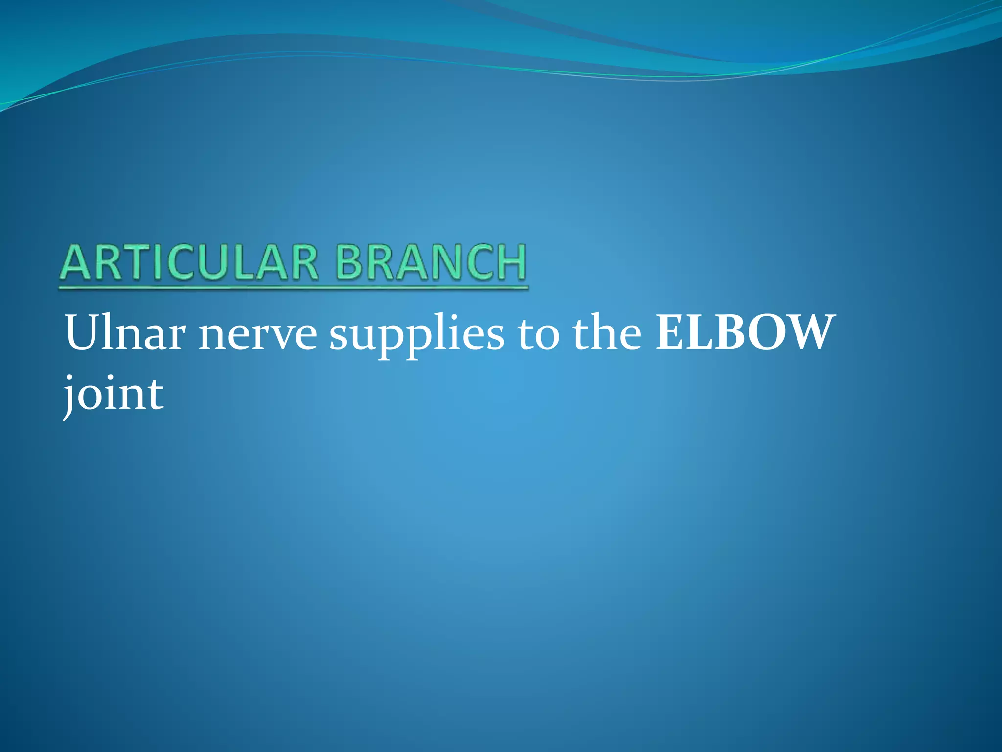 Ulnar nerve ppt | PPT