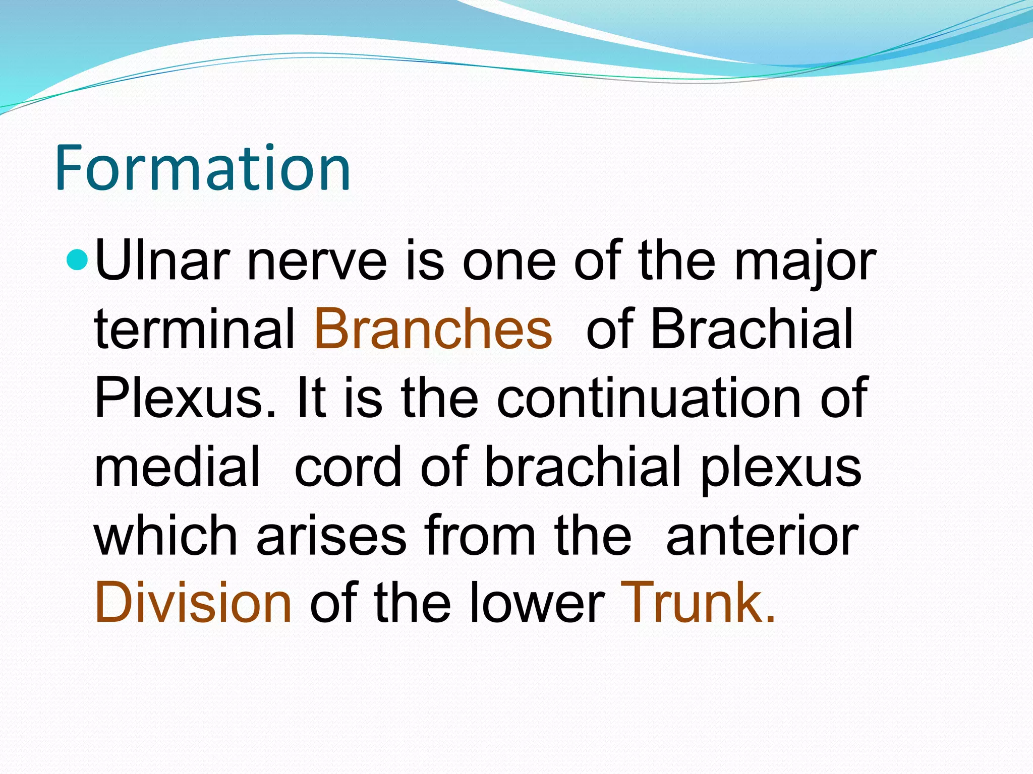 Ulnar nerve ppt | PPT