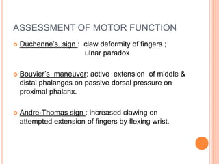 Ulnar nerve seminar | PPTX