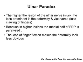 Anatomy and Examination of Ulnar & Sciatic Nerves | PPTX