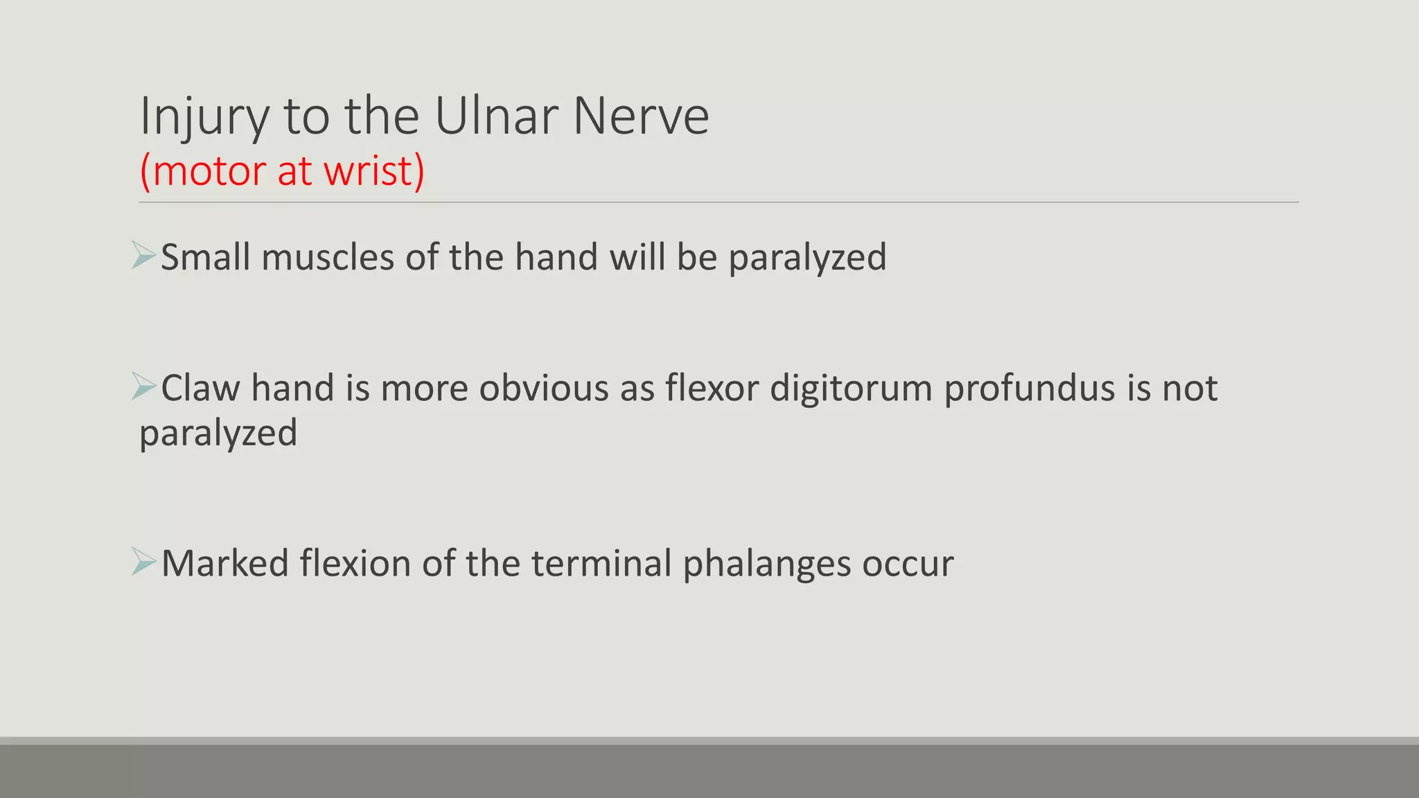 Ulner nerve | PPT