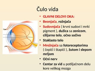 ČULNI SISTEM ČOVEKA - DELOVI I ULOGE.pptx