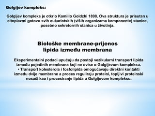 Uloga bioloških membrana u stanicama. ppt | PPTX
