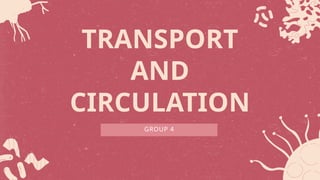 Transport and Circulation: Plants a.pptx