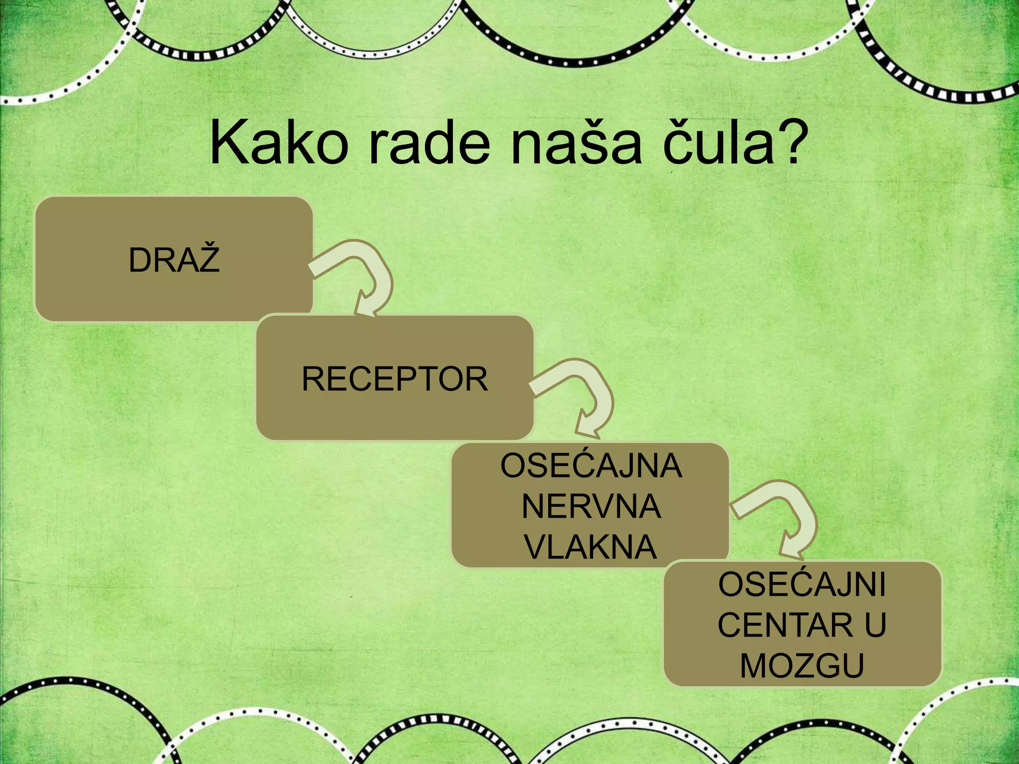 Čulo mirisa i ukusa | PPTX