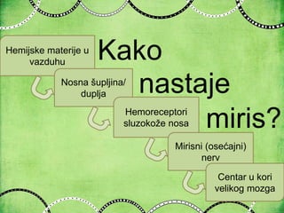 Čulo mirisa i ukusa | PPTX