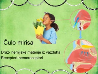 Čulo mirisa i ukusa | PPTX