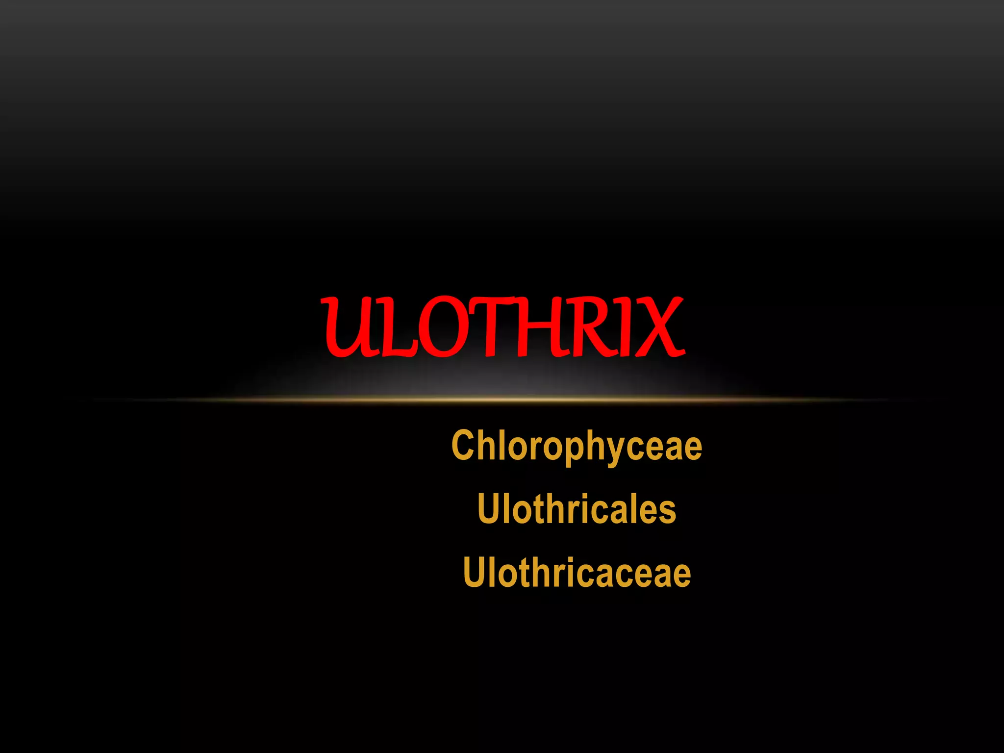 Ulothrix | PPTX