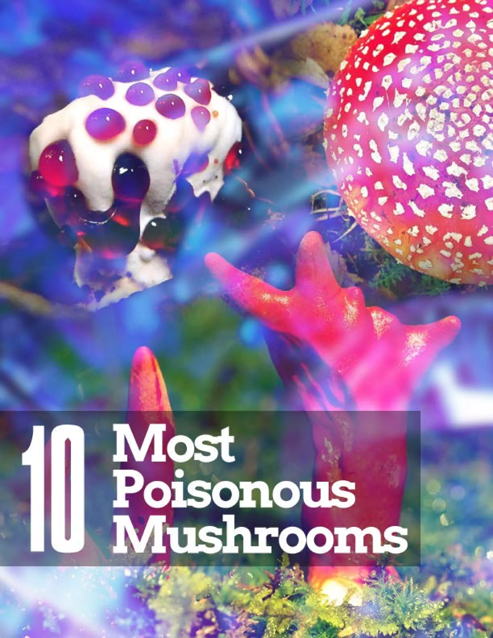 10 Most Poisonous Mushroom | PDF