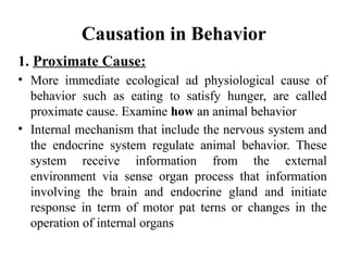 ultimate and proximate behavior.................pptx