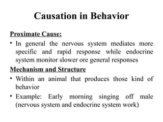 ultimate and proximate behavior.................pptx