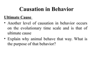 ultimate and proximate behavior.................pptx