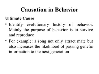 ultimate and proximate behavior.................pptx